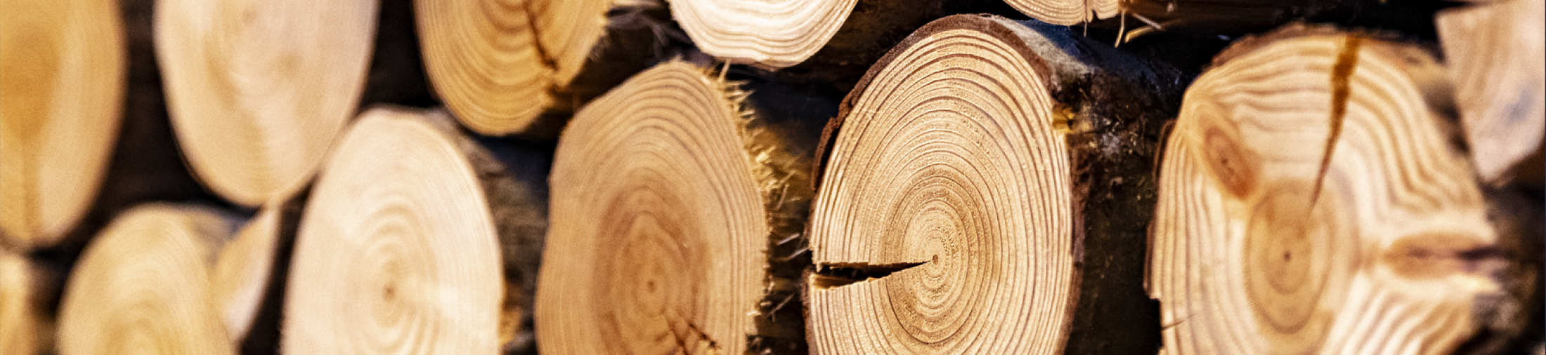 Contact Sauna Ridderrode | Ridderrode