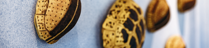 Sfeerimpressie sauna Ridderrode | Ridderrode